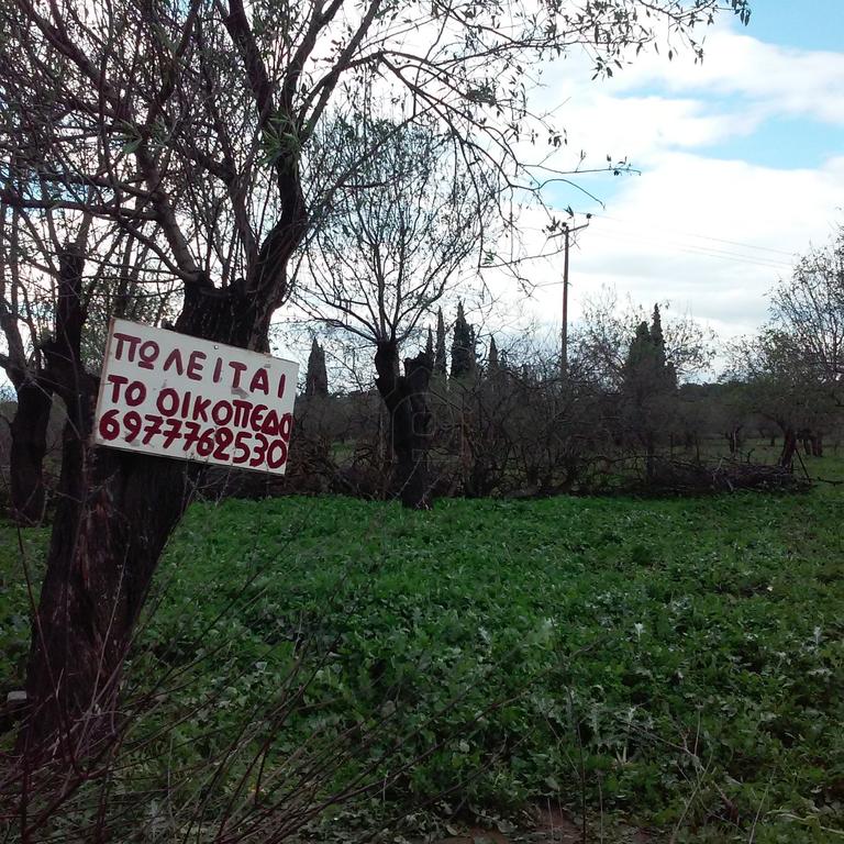 Οικόπεδο 800 τ.μ. για πώληση, Εύβοια, Αμάρυνθος | plot.gr