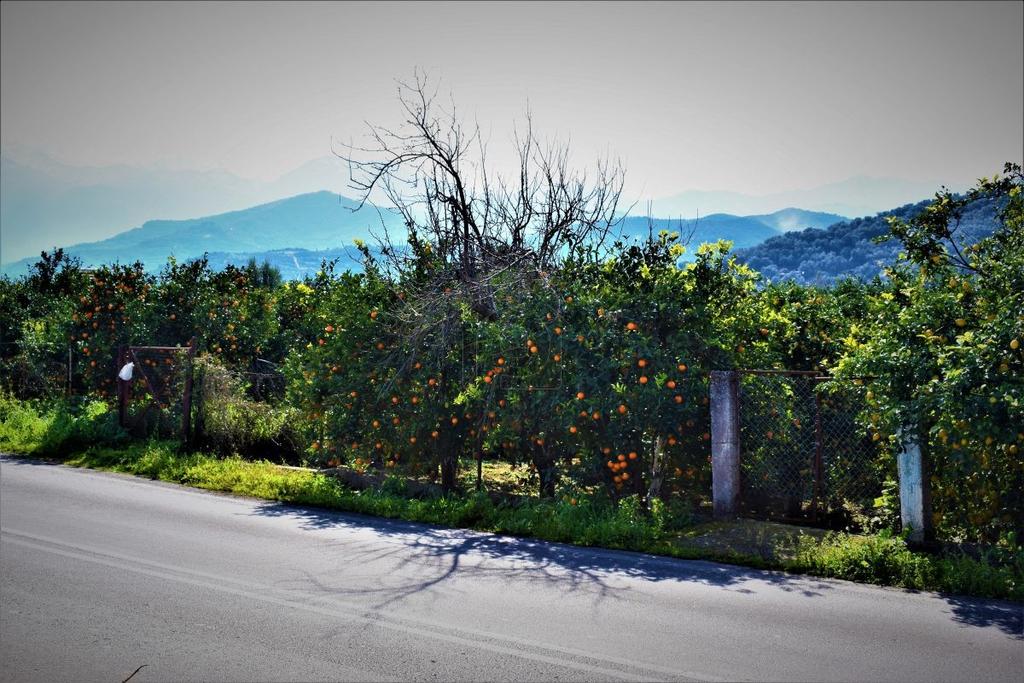 Car.gr - Οικόπεδο 1.180 τ.μ. για πώληση, Ν. Χανίων, Μουσούροι