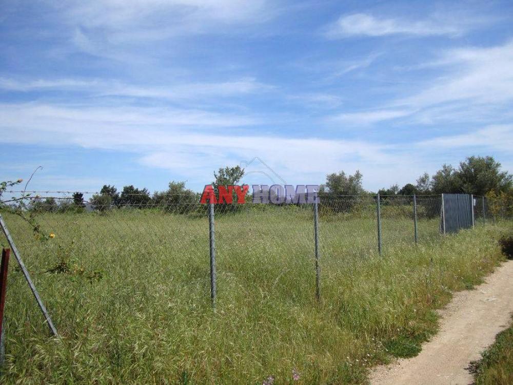 Αγροτεμάχια 4.000 τ.μ. για πώληση, Θεσσαλονίκη - Περιφ/Κοί Δήμοι, Επανομή | plot.gr