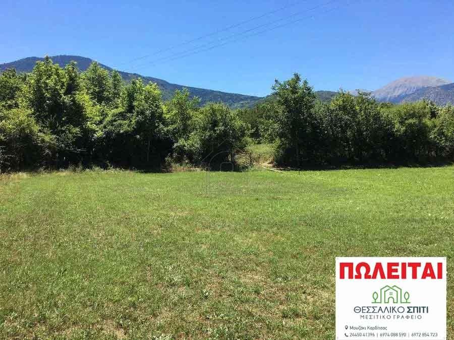 Οικόπεδο 8.000 τ.μ. για πώληση, Ν. Καρδίτσας, Μουζάκι | plot.gr