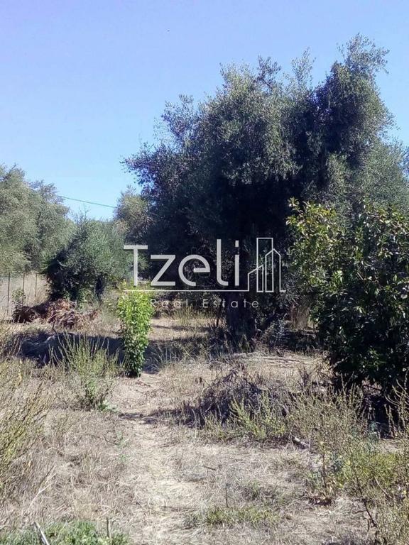Car.gr - Αγροτεμάχια 280 τ.μ. για πώληση, Αχαΐα, Ρίο