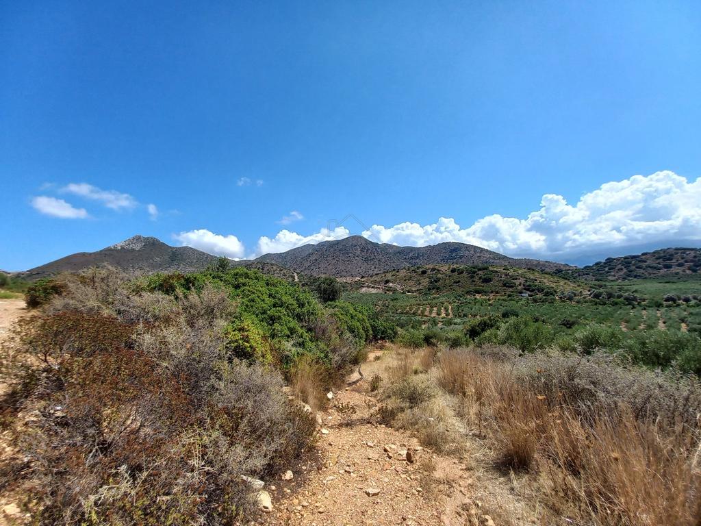 Car.gr - Αγροτεμάχια 5.500 τ.μ. για πώληση, Ν. Ρεθύμνου, Γεροπόταμος