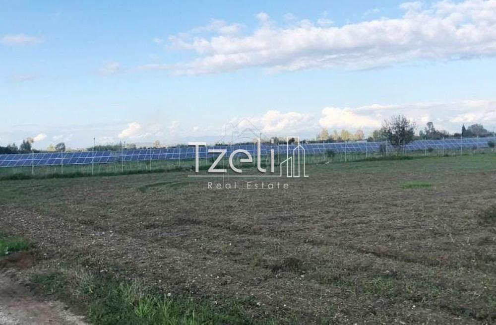 Αγροτεμάχια 11.000 τ.μ. για πώληση, Αχαΐα, Μόβρη | plot.gr